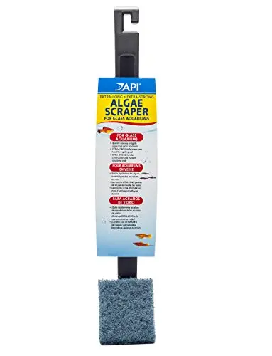 Best Algae Remover For Aquarium - 2026 Reviews - Petsteria