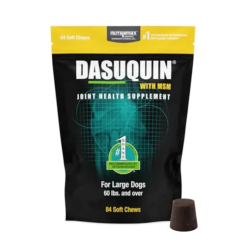 Best Supplements For Dogs With Arthritis - 2026 Reviews - Petsteria