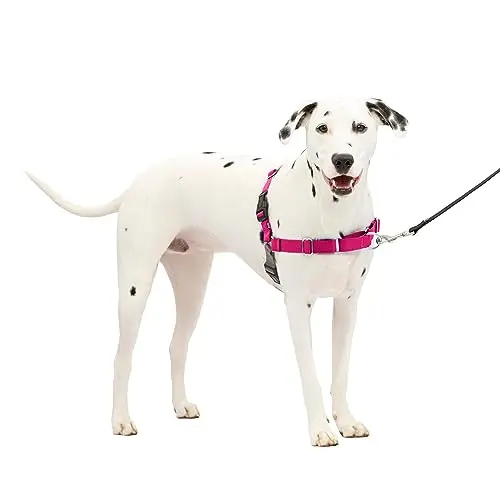 Best No Pull Dog Harness For Large Dogs - 2026 Reviews - Petsteria