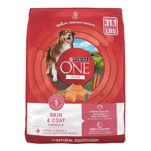 Best Dry Dog Food For Diarrhea - 2026 Reviews - Petsteria