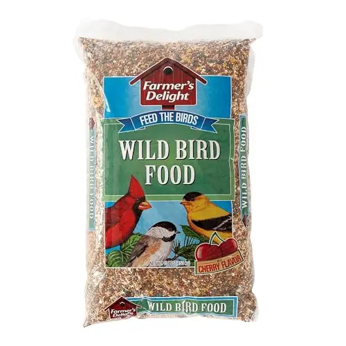 Best Bird Food For Wild Birds - 2026 Reviews - Petsteria