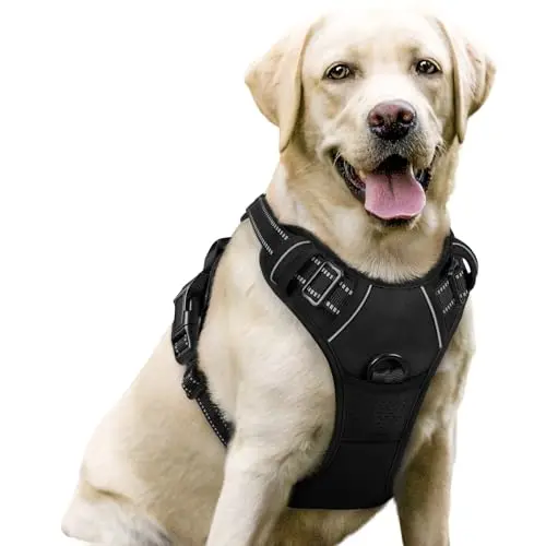 Best No Pull Dog Harness For Large Dogs - 2026 Reviews - Petsteria