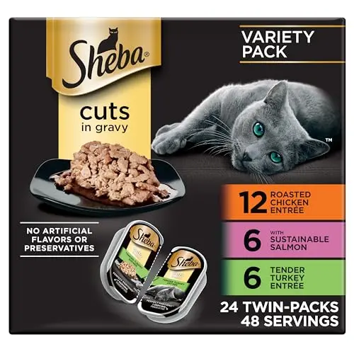 Best Wet Cat Food For Picky Cats - 2026 Reviews - Petsteria