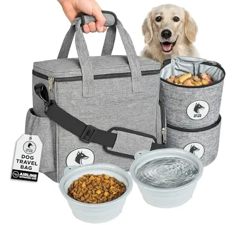 Best Travel Gear For Dogs - 2026 Reviews - Petsteria