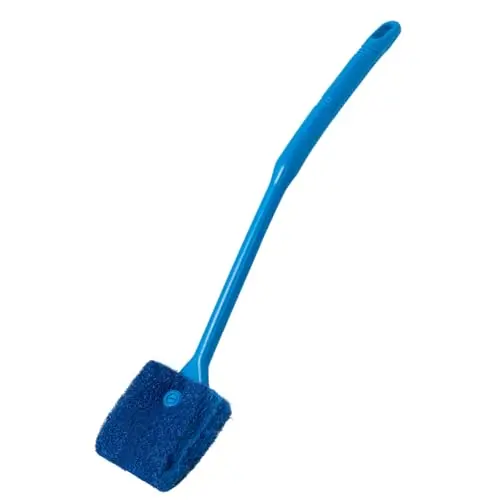 Best Algae Remover For Aquarium - 2026 Reviews - Petsteria