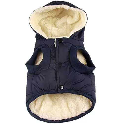 Best Dog Jackets For Winter - 2026 Reviews - Petsteria