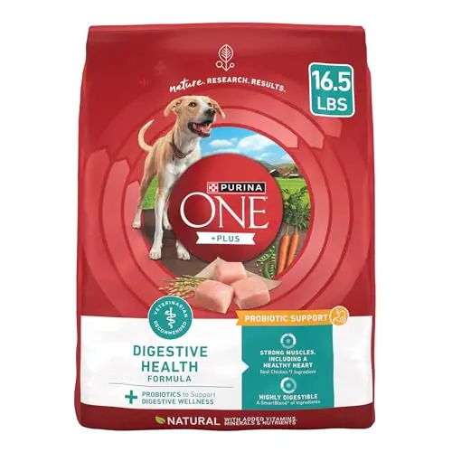 Best Dry Dog Food For Diarrhea - 2026 Reviews - Petsteria