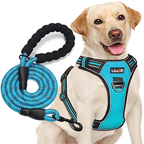 Best No Pull Dog Harness For Large Dogs - 2026 Reviews - Petsteria