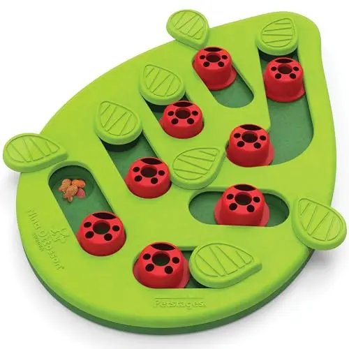 Best Puzzle Toys For Cats - 2026 Reviews - Petsteria