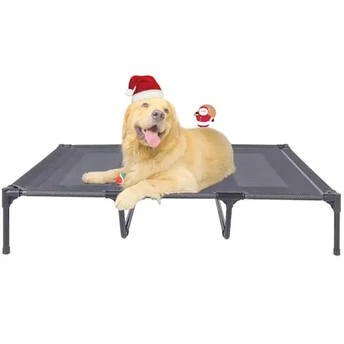 Best Cooling Bed For Dogs - 2026 Reviews - Petsteria