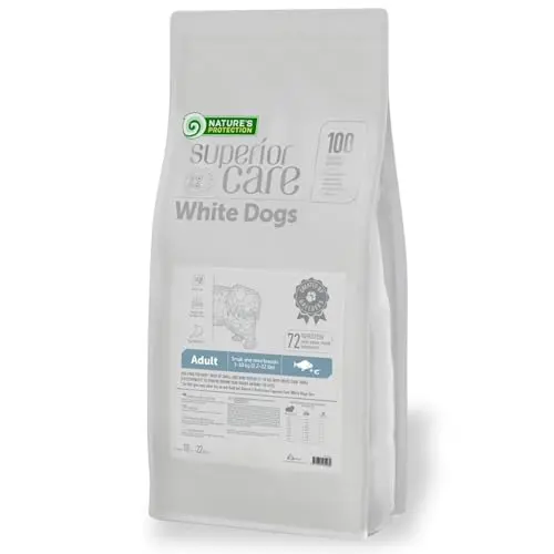 Best Kibble For Small Dogs - 2026 Reviews - Petsteria