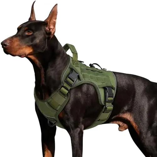 Best No Pull Dog Harness For Large Dogs - 2026 Reviews - Petsteria