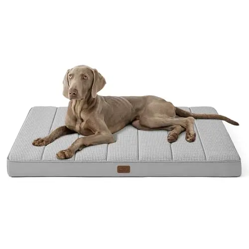 Best Cooling Bed For Dogs - 2026 Reviews - Petsteria