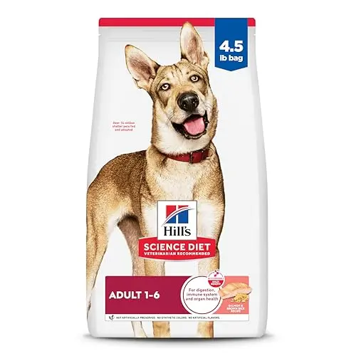 Best Dry Dog Food For Picky Eaters - 2026 Reviews - Petsteria