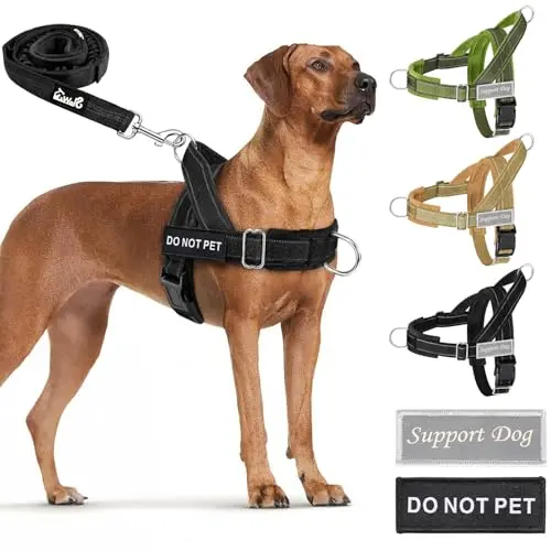 Best No Pull Dog Harness For Large Dogs - 2026 Reviews - Petsteria