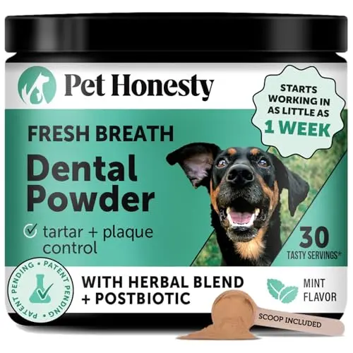 Best Dental Powder For Dogs - 2026 Reviews - Petsteria