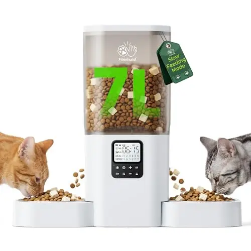 Best Automatic Cat Feeder For Multiple Cats - 2026 Reviews - Petsteria