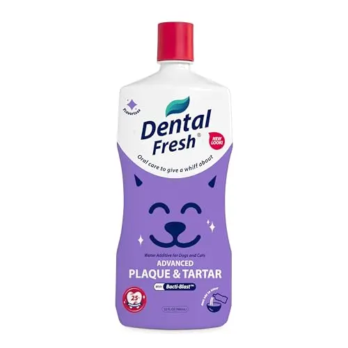 Best Dental Water Additive For Dogs - 2026 Reviews - Petsteria