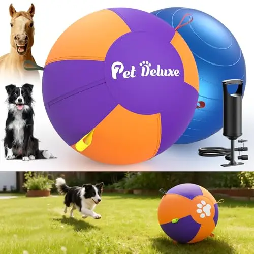 Best Herding Ball For Dogs - 2026 Reviews - Petsteria