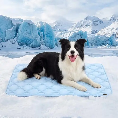 Best Cooling Mats For Large Dogs - 2026 Reviews - Petsteria